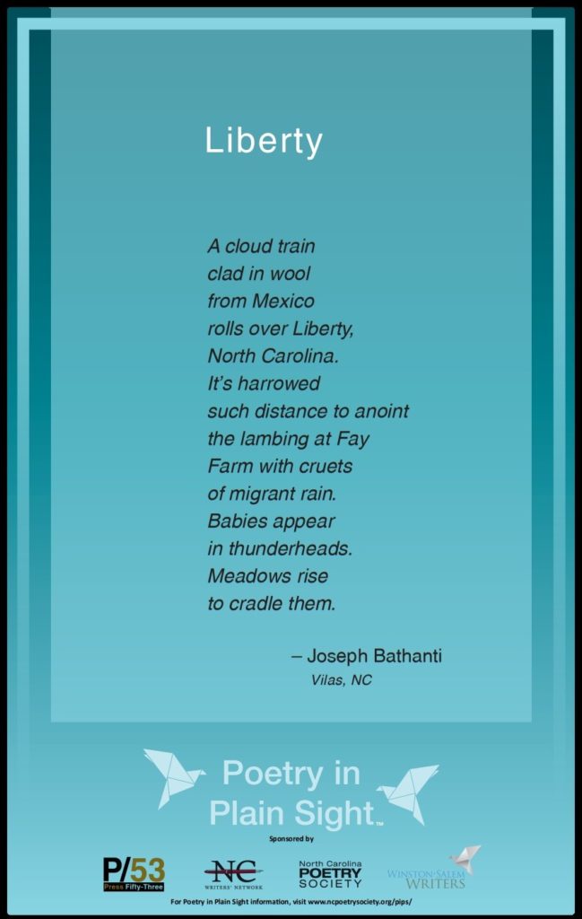 Poetry in Plain Sight | North Carolina Poetry Society